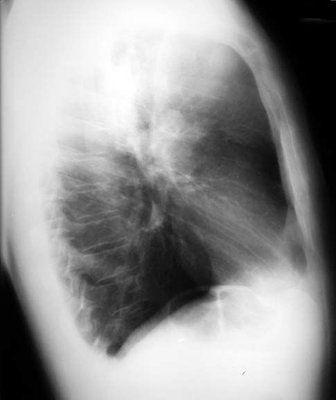 New Page 1 [stritch.luc.edu]