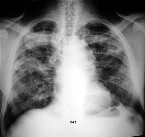 New Page 1 [stritch.luc.edu]