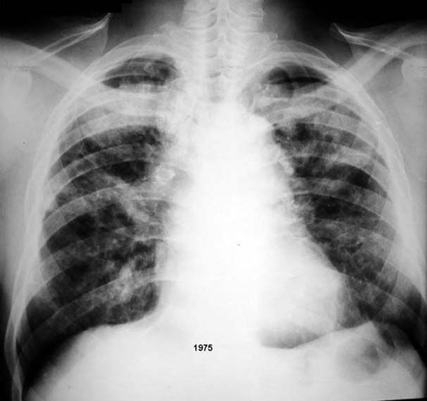 New Page 1 [stritch.luc.edu]