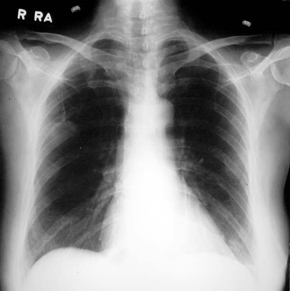 New Page 1 [stritch.luc.edu]