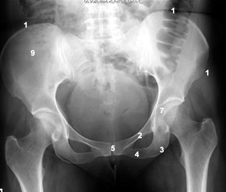 New Page 1 [stritch.luc.edu]