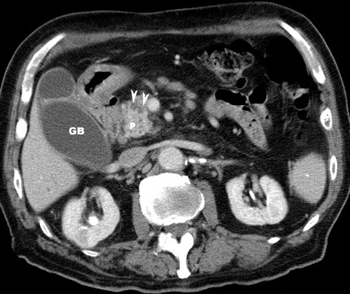 New Page 2 [stritch.luc.edu]