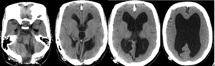 Untitled Document [stritch.luc.edu]