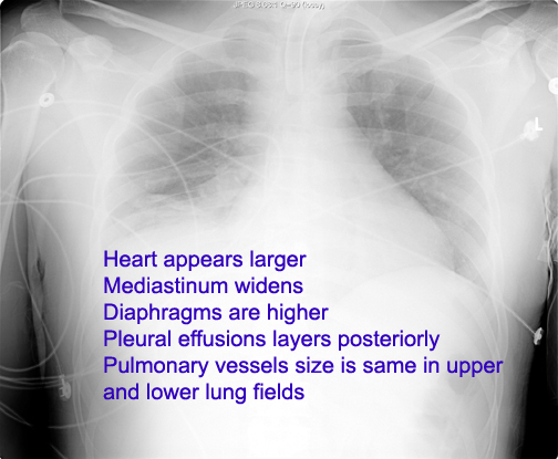 Try to identify the following