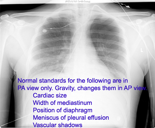 Try to identify the following